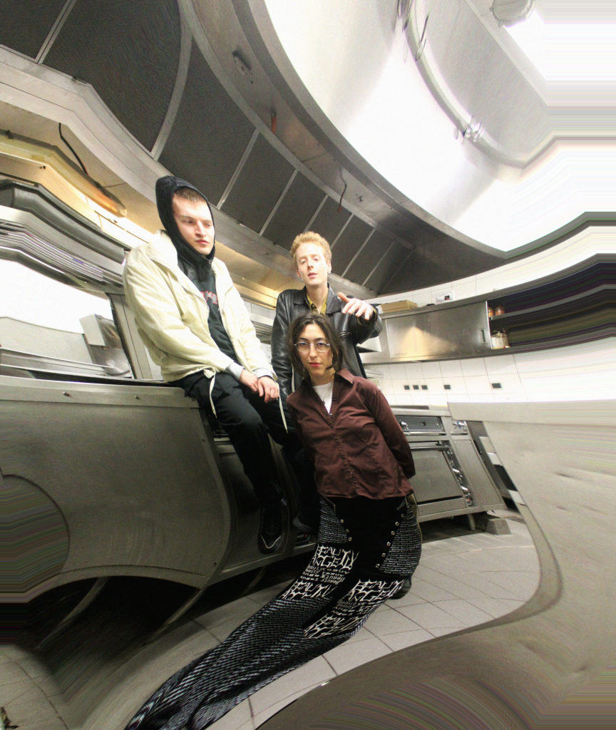 Still House Plants - SHAPE+